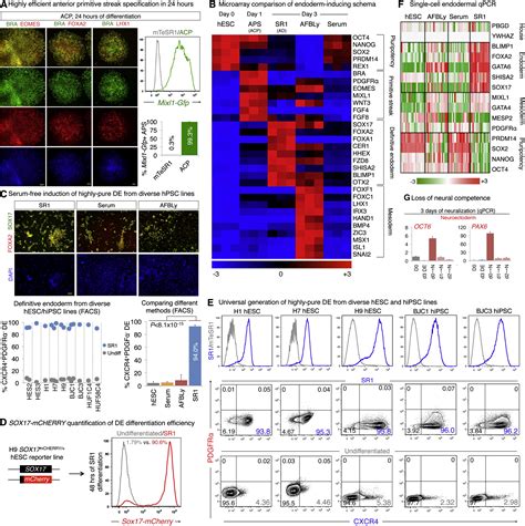 Efficient Endoderm Induction From Human Pluripotent Stem Cells By Logically Directing Signals
