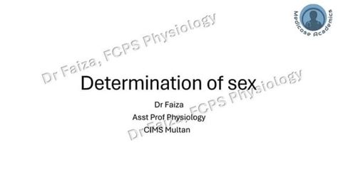 Scalp And Face Anatomy Dr Adel Bondokpdf