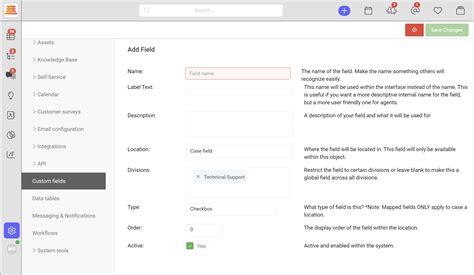custom fields