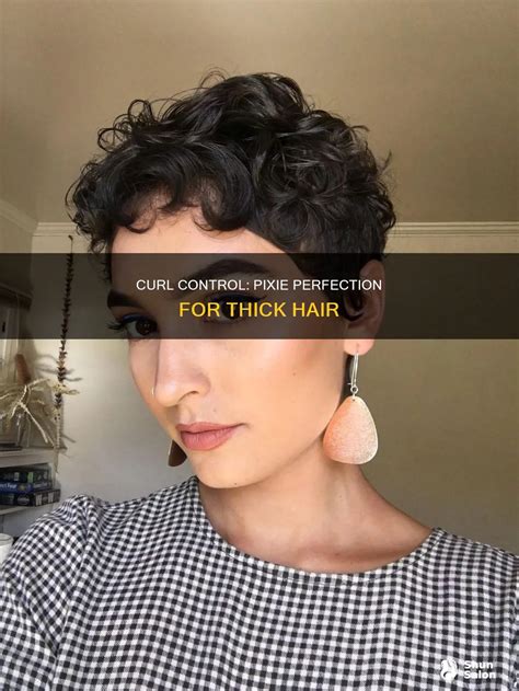 Curl Control Pixie Perfection For Thick Hair Shunsalon