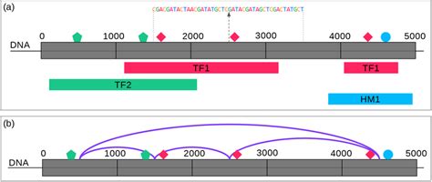 A Sequence Data Processing We Extract 2000bp Sequences Surround