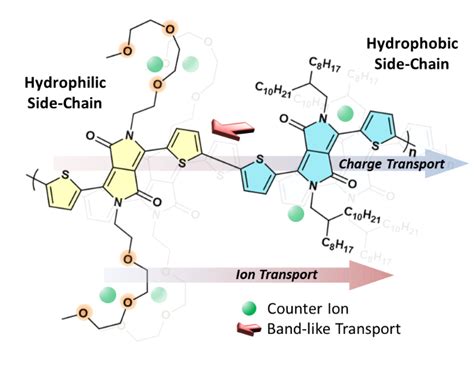 Organic Mixed Ion Electron Conductor Omiec Extended Dpp G Dpp Teg 2tdpp Od Teg 2tdpp Ome Pndi