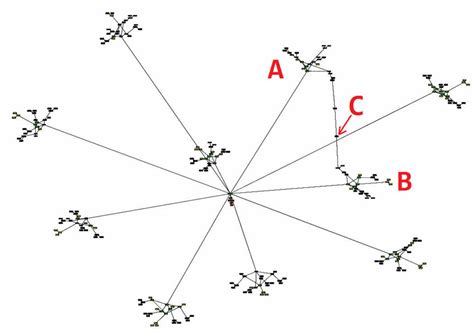 Calculation Graph For Co2e Emissions Percapita Per Annum For External