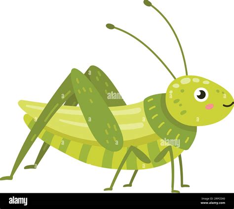 Grasshopper With Smiling Face Green Insect Cartoon Character Stock