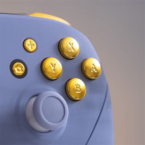 Nintendo Switch Pro Controller Mod Violet With Gold Buttons Customized