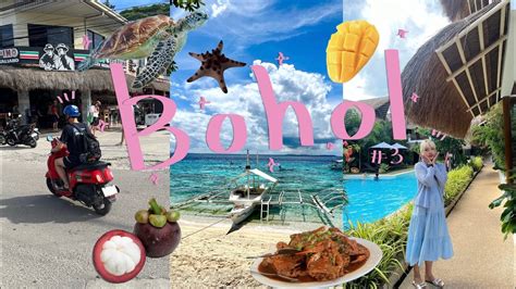 Vlog 해피채채 해외여행브이로그 필리핀보홀여행 🇵🇭ep3 발리카삭 거북이 핀터드섬 제라다스다나오 바탈라리조트 오토바이렌탈 원더풋마사지