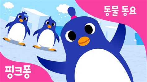 펭귄 댄스 동물동요 핑크퐁 인기동요 YouTube