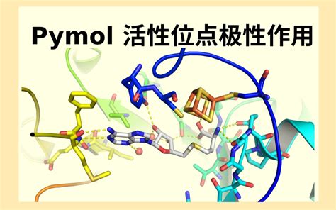 pymol作图展示蛋白小分子极性作用 哔哩哔哩 bilibili