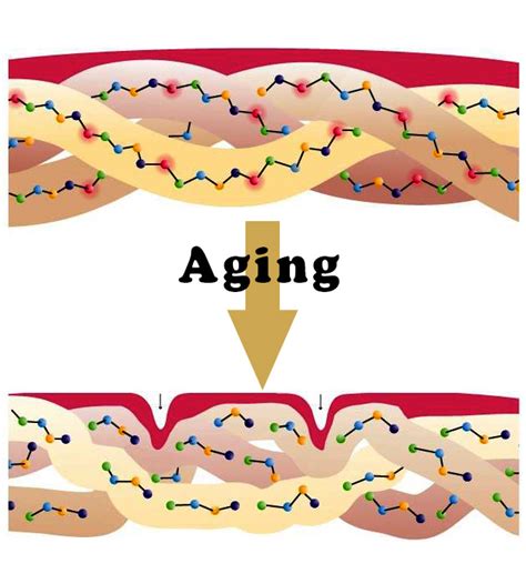 Karisma Lebanon Aging Collagen