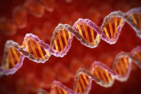 Ai Can Decode Digital Data Stored In Dna In Minutes Instead Of Days