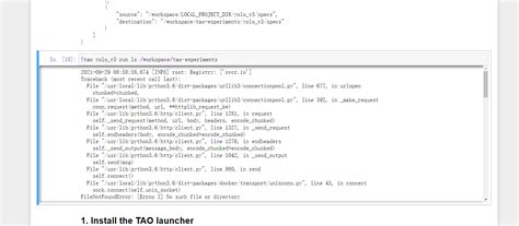 An Error Occurred While Preparing The Data Set Using Tao Tao Toolkit