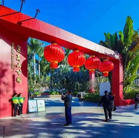 花期圳好 深圳人迎接春天的仪式感来了过年去哪赏花 公园 客流 北环大道