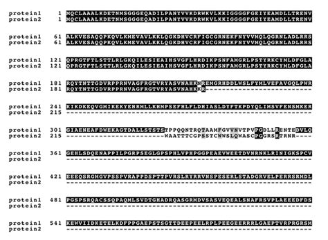 Science Question Interpreting Information From Clustalw R