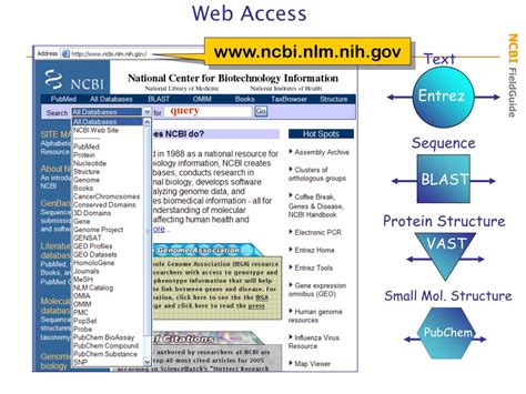 PPT NCBI Molecular Biology Resources PowerPoint Presentation Free Download ID