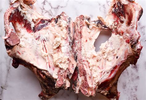 Beef Bone Tips Worth Reading Right Now