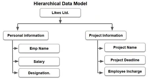 Database Management System Cbse Class 10 Notes