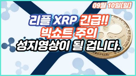 리플 Xrp 긴급 빅쇼트 주의 성지영상이 될 겁니다 Youtube