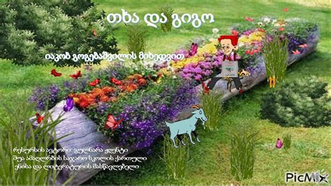 თხა და გიგო Youtube