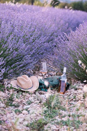 프로방스 남쪽 프랑스 라벤더 필드 야외에서 피크닉 로즈 와인 한 잔 와인의 병 및 여행 가방 분홍에 대한 스톡 사진 및 기타