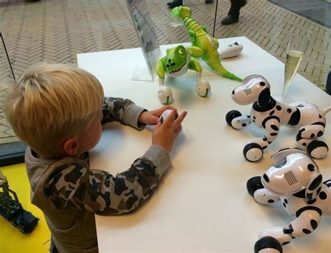 Meccanoid Mommy Wants A Robot Imaizumi Yui