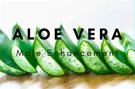 Using Aloe Vera For Male Enhancement And How To Get Optimal Results