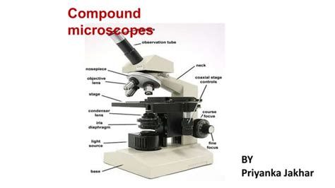 Compound Microscope Ppt