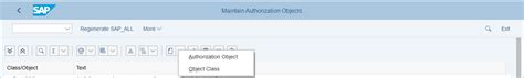 SAP ABAP Central Implementing DCL With CDS Views And Roles