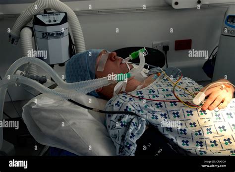 Pelvic Examination Under General Anesthesia At Carmen Zandra Blog