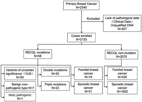 Flow Chart Of Inclusion Criteria Download Scientific Diagram