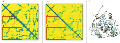 Protein Model Accuracy Estimation Empowered By Deep Learning And Inter Residue Distance Prediction