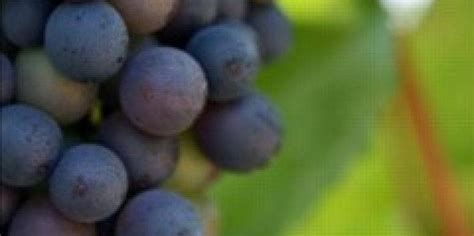 How Drinking Saved Our Marriage Yourtango