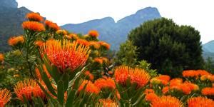 The Difference Between Biome Vs Ecosystem Definitions With Examples