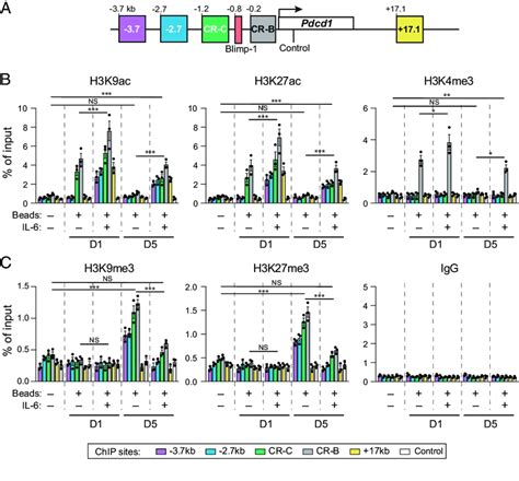 Active Histone Modifications Are Observed After Il 6 Treatment At The