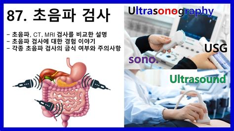 87 초음파 검사에 대하여 각종 초음파 검사 금식 여부와 주의사항 And 경험이야기 Youtube