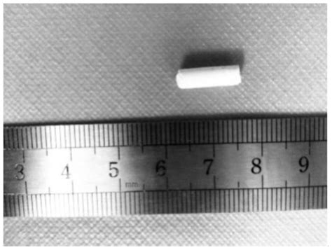 一种用于治疗股骨头坏死的复合骨组织支架及其制备方法与流程