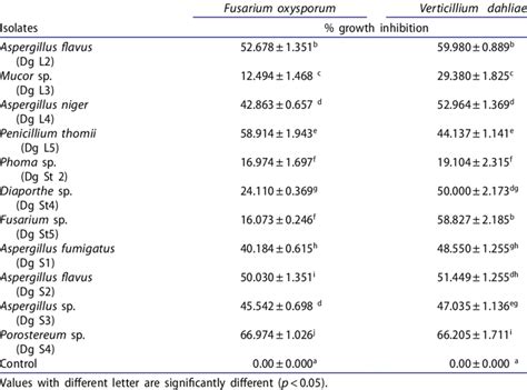 Biocontrol Potential Of Endophytic Fungi By In Vitro Antagonistic Assay Download Scientific