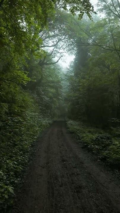 الهی و ربیمن لی غیرک Youtube