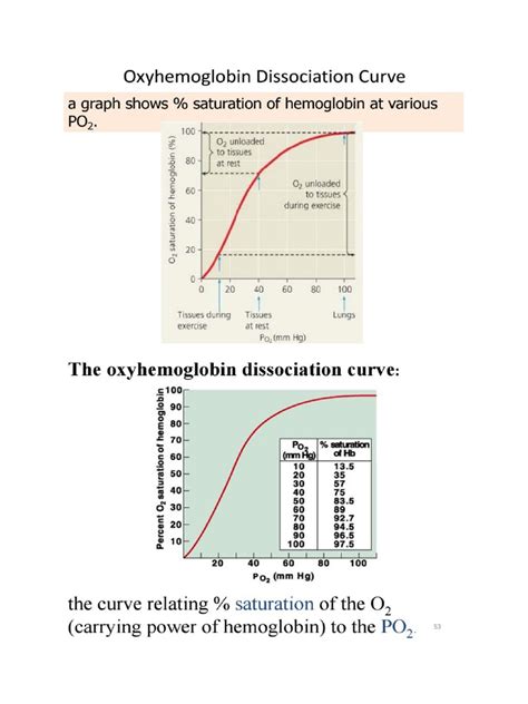 Oxygen Dissociation Curve Pdf