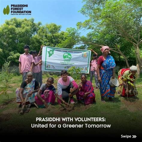 Stream Fruit Tree Plantation Tamil Nadu By Prasiddhi Forest Listen