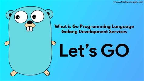 Go Programming Language Golang Development Services