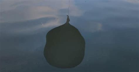 대북 확성기 재개…대통령실 북한 오물풍선 국민에 심리적 타격