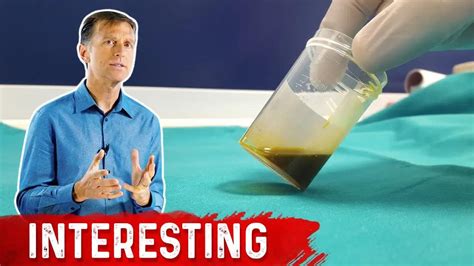 Why Does Your Body Recycle So Much Bile