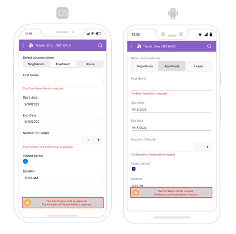 Net Maui Dataform Documentation Validation Telerik Ui For Net Maui