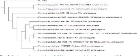 Figure 1 From Production And Purification Of Lipase From Pseudomonas Sp Ab2 With Potential