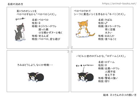 ネコの名前の付け方｜ネコの育て方絵本10 どうぶつ出版社