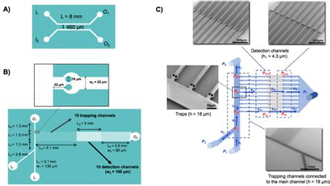Microfluidic Devices A 2d Clewin Drawing Of The Virometry Chip The