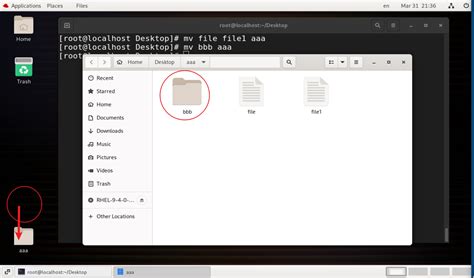 linux中常用的文件管理命令 linux文件管理命令 csdn博客