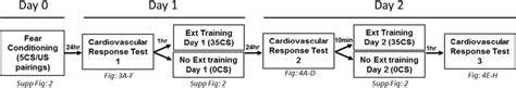 Schematic Of Fear Conditioning And Testing Protocol For Home Cage Download Scientific Diagram