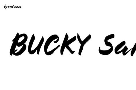 Bucky Sans Free Font Download Bucky Sans Free Font Download