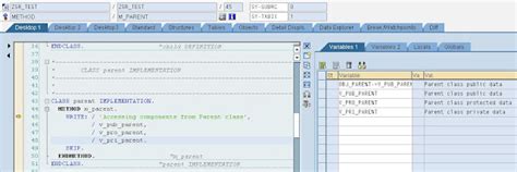Public Protect And Private Access In Oops Learnsapabap